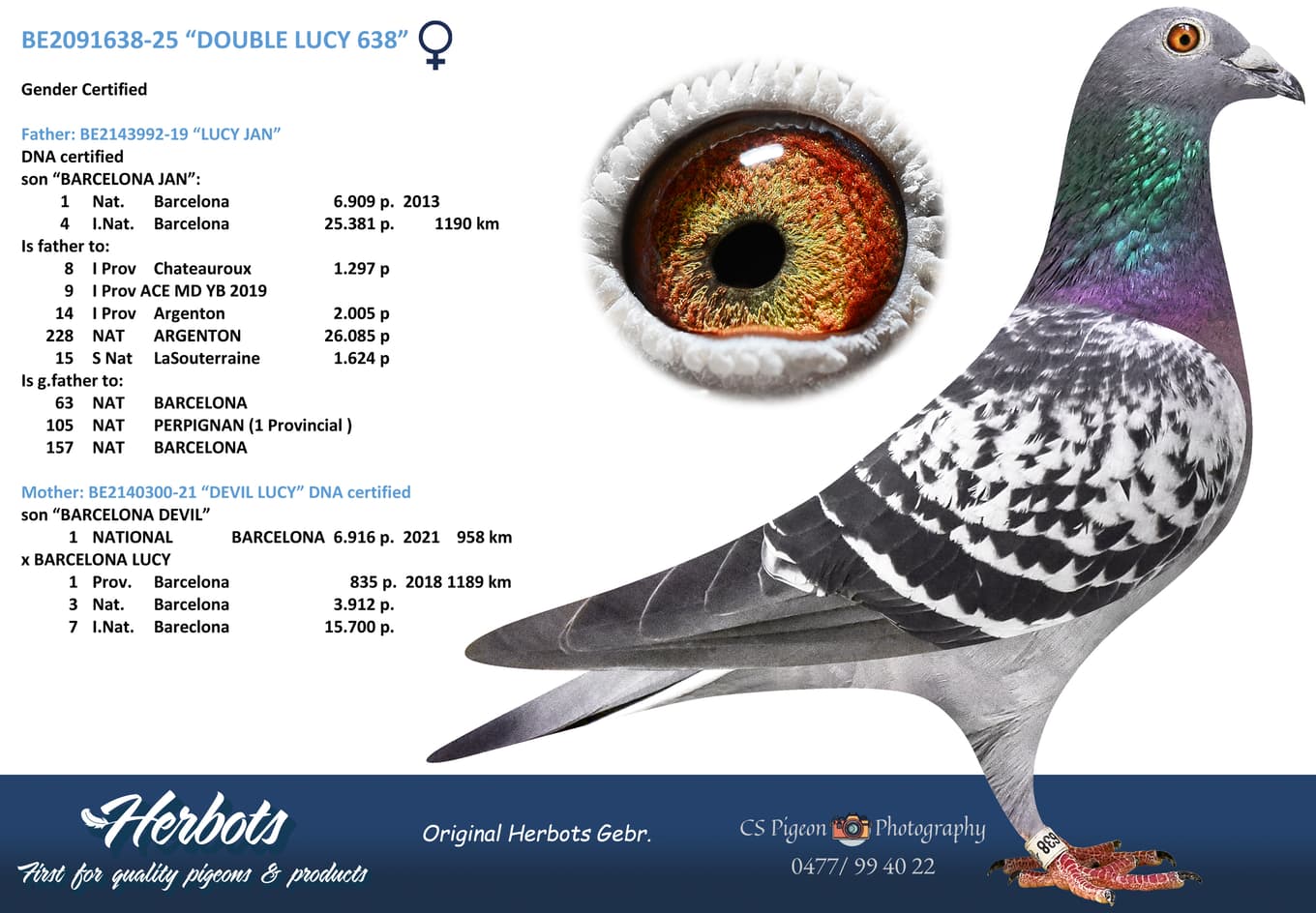 “DOUBLE LUCY 455” - BE-25-2091455