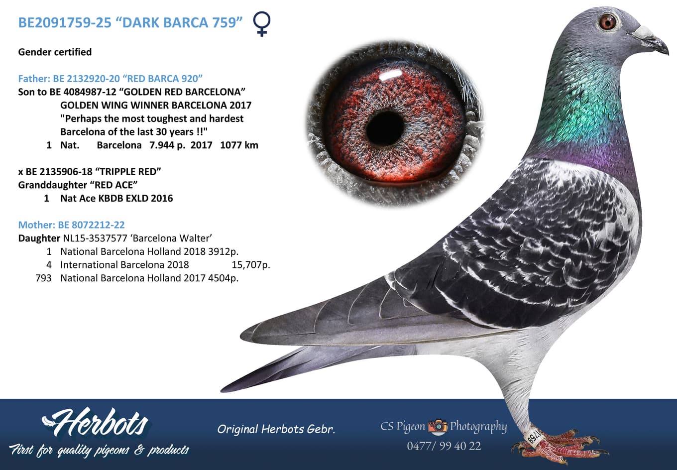 “MEALY BARCA 307” - BE-25-2091307