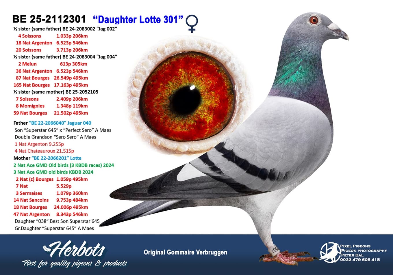 “Daughter Lotte 302” - BE-25-2112302
