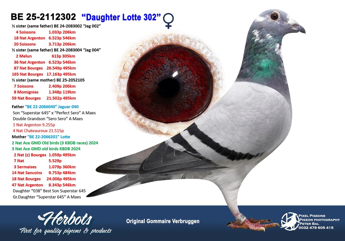“Daughter Lotte 301” - BE-25-2112301