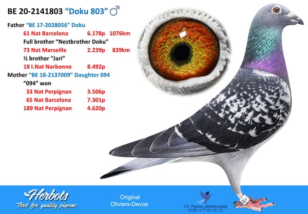 “Doku 803” - BE-20-2141803
