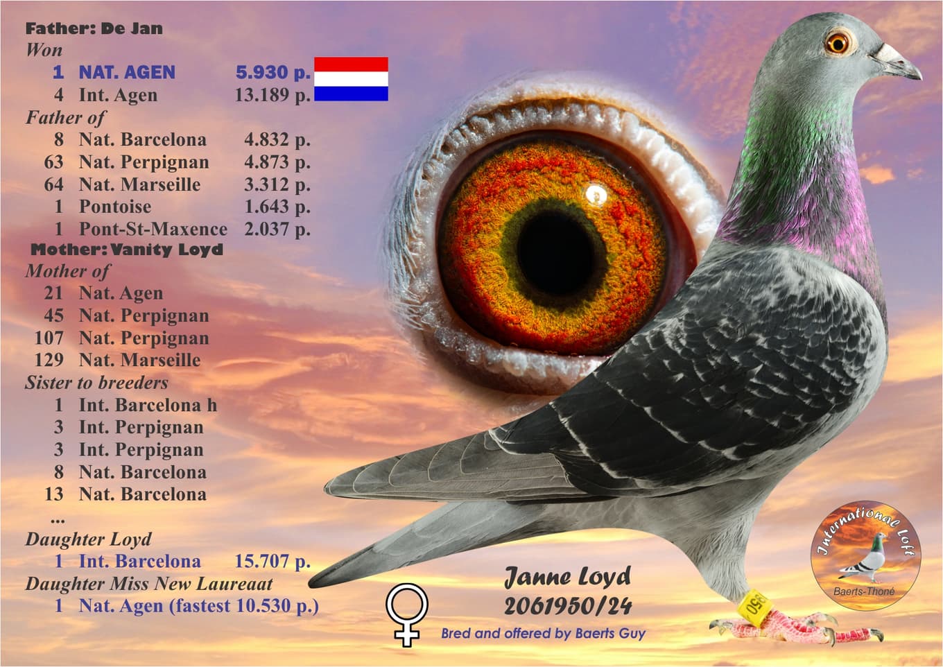 "Janne Loyd" - BE-25-2061950