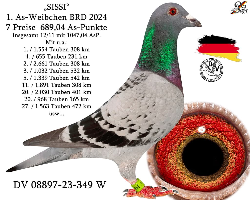 “Daughter Sissi” - DV-08897-25-8609