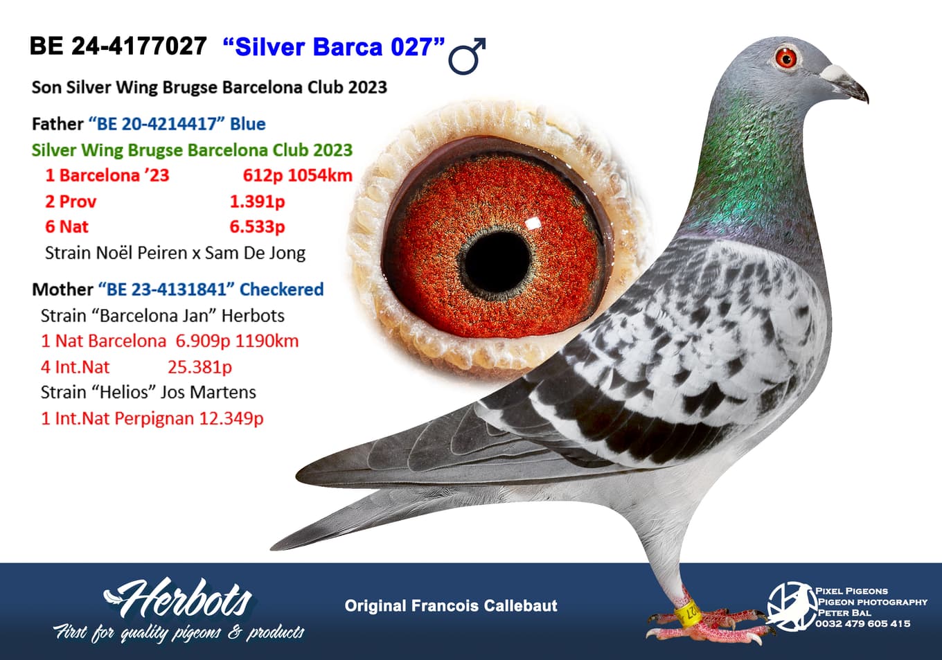 “Valkje 001” - NL-24-8462001