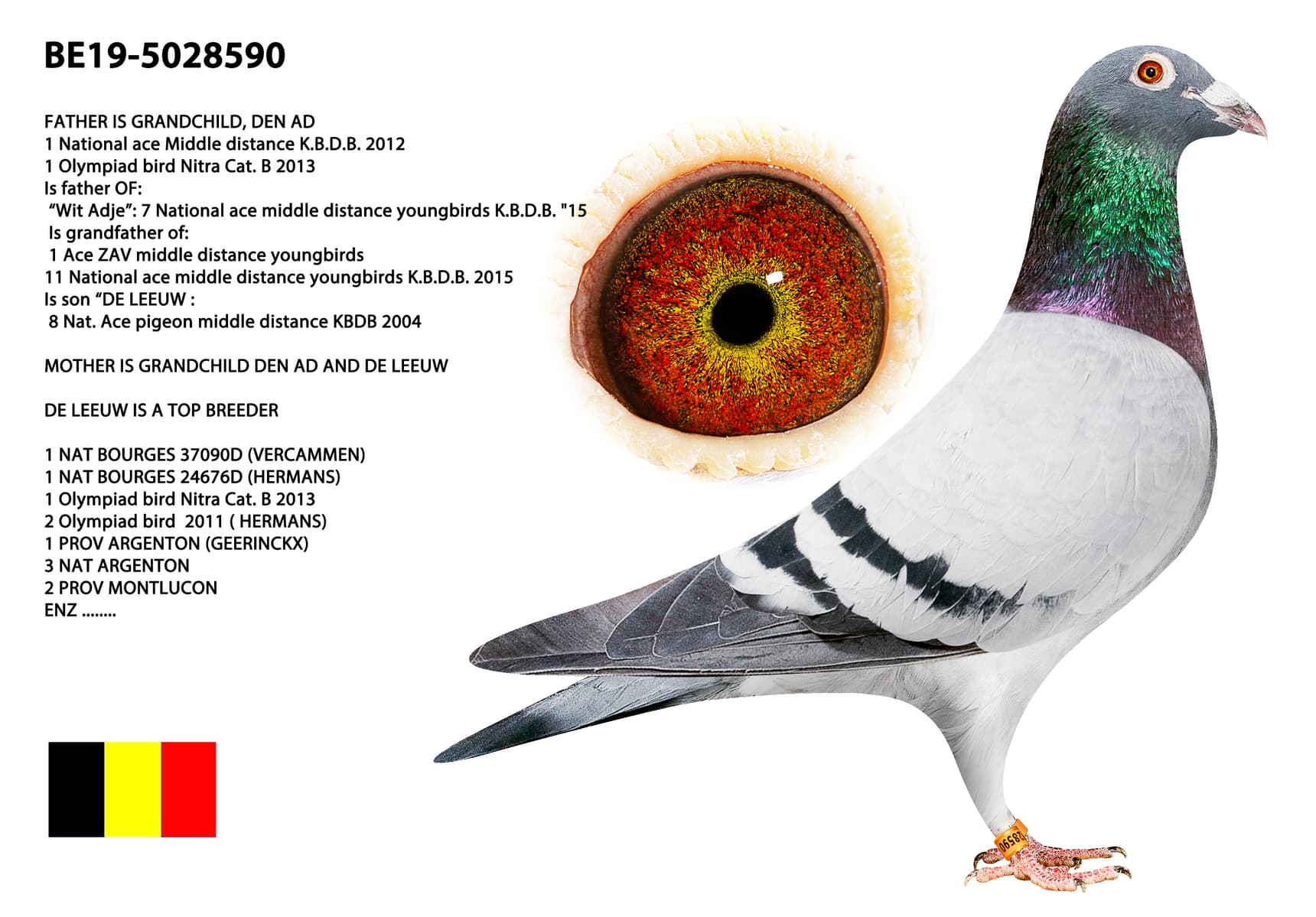 100% MARCEL WOUTERS - BE-19-5028590