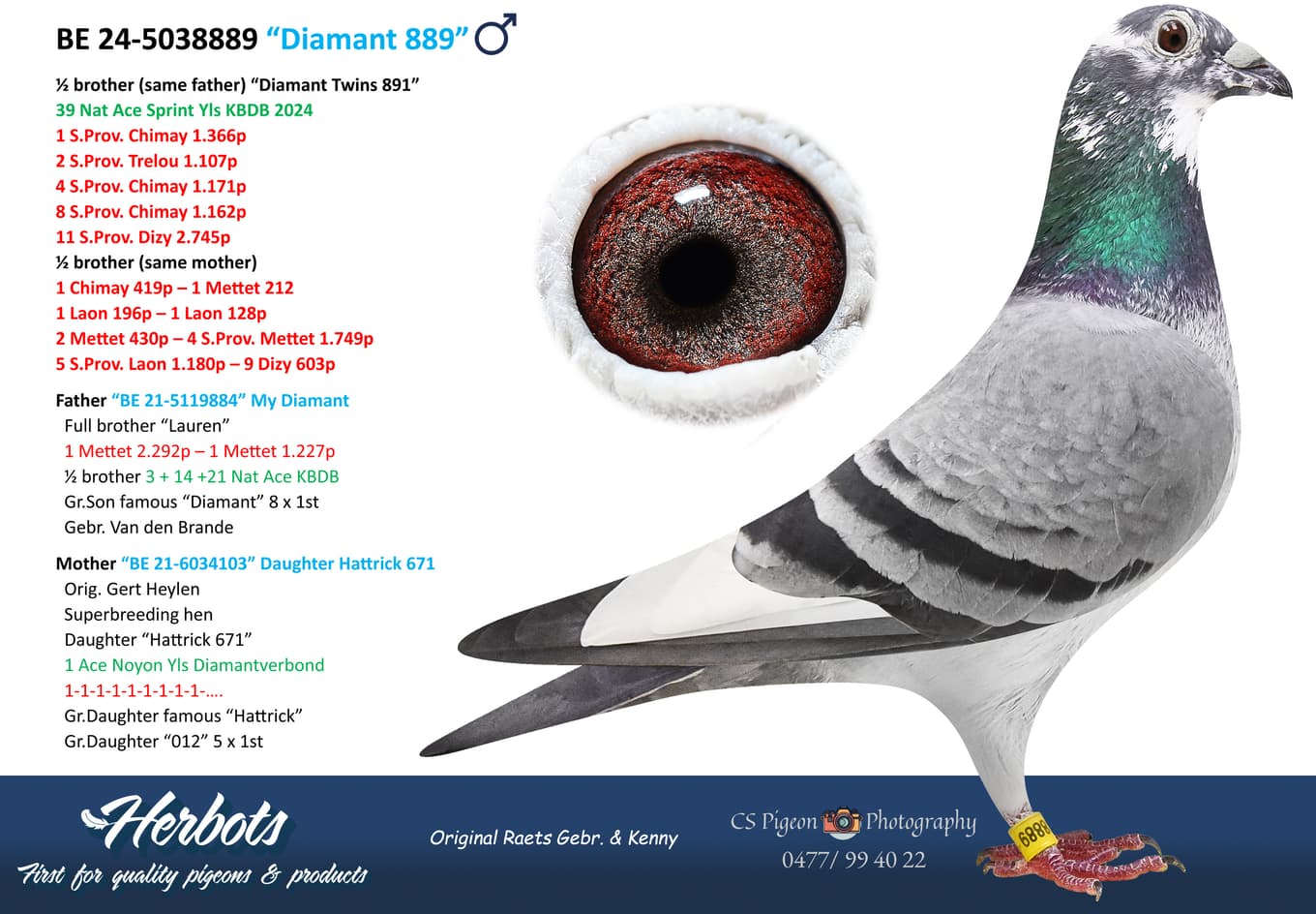 “Diamant 889” - BE-24-5038889