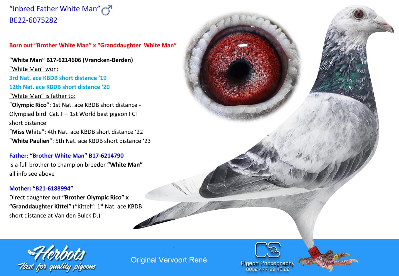 Pigeon Bids October 2023 Part 1