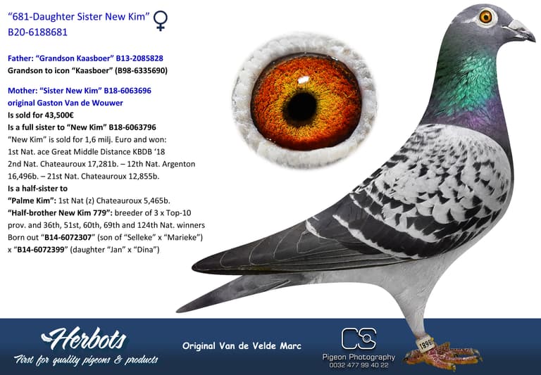 “681-Daughter Sister New Kim” - BE-20-6188681