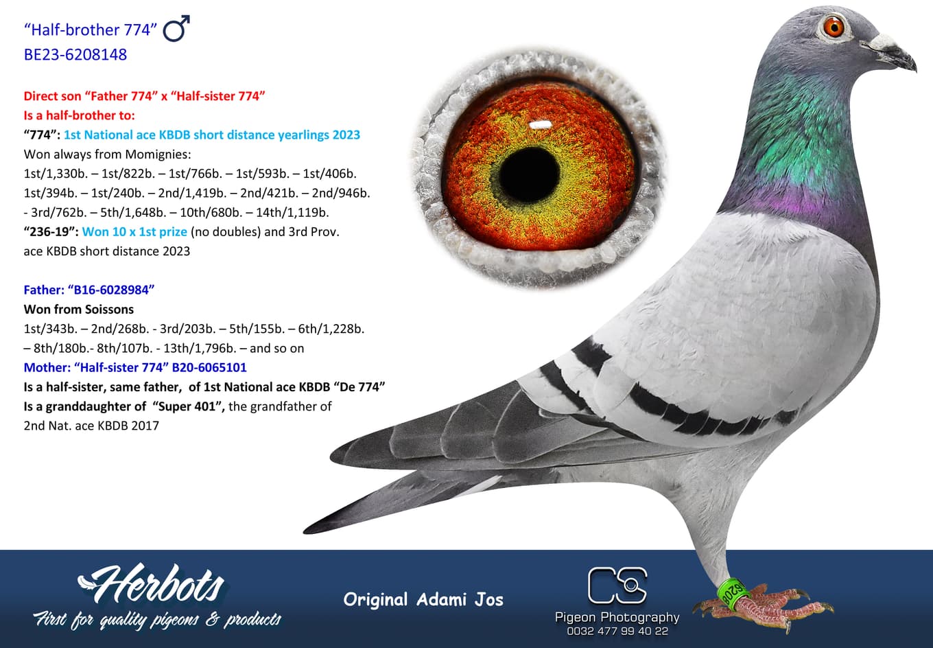 “Son Pascal 821” - BE-23-4164821