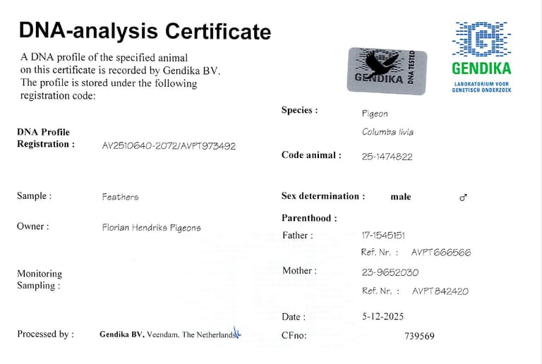”Son KG 151” - NL-25-1474822