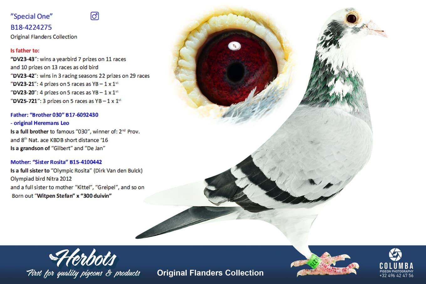 ”Louis Vuitton/Olympic Rico” - BE-24-2107709