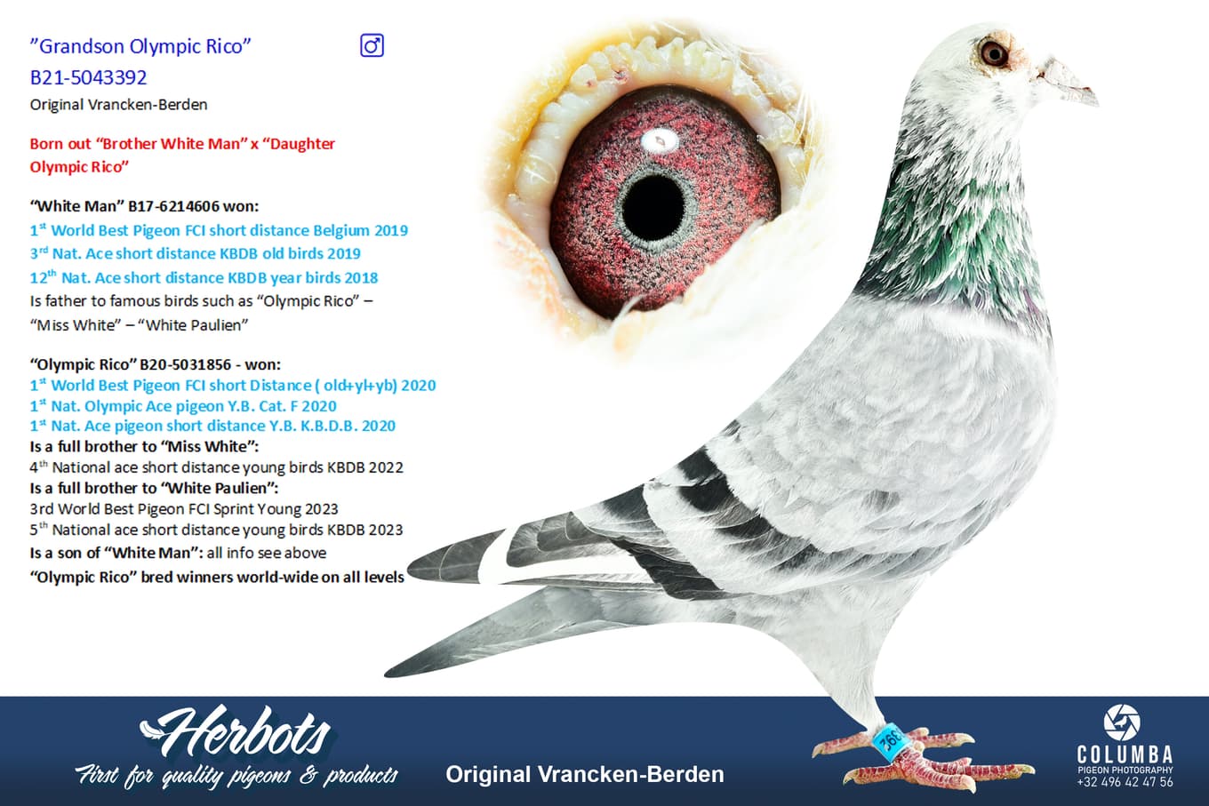 ”Louis Vuitton/Olympic Rico” - BE-24-2107709