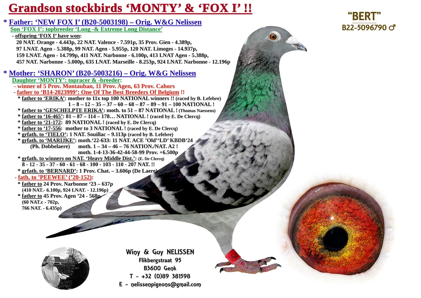 Herbots - First for quality pigeons & products