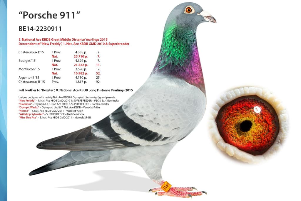 “PORSCHE 954” - BE-21-2140954