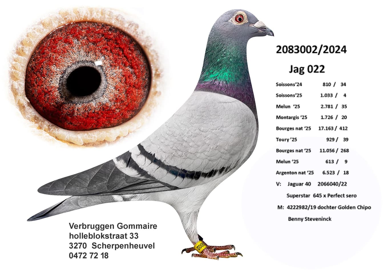 “Daughter Lotte 302” - BE-25-2112302