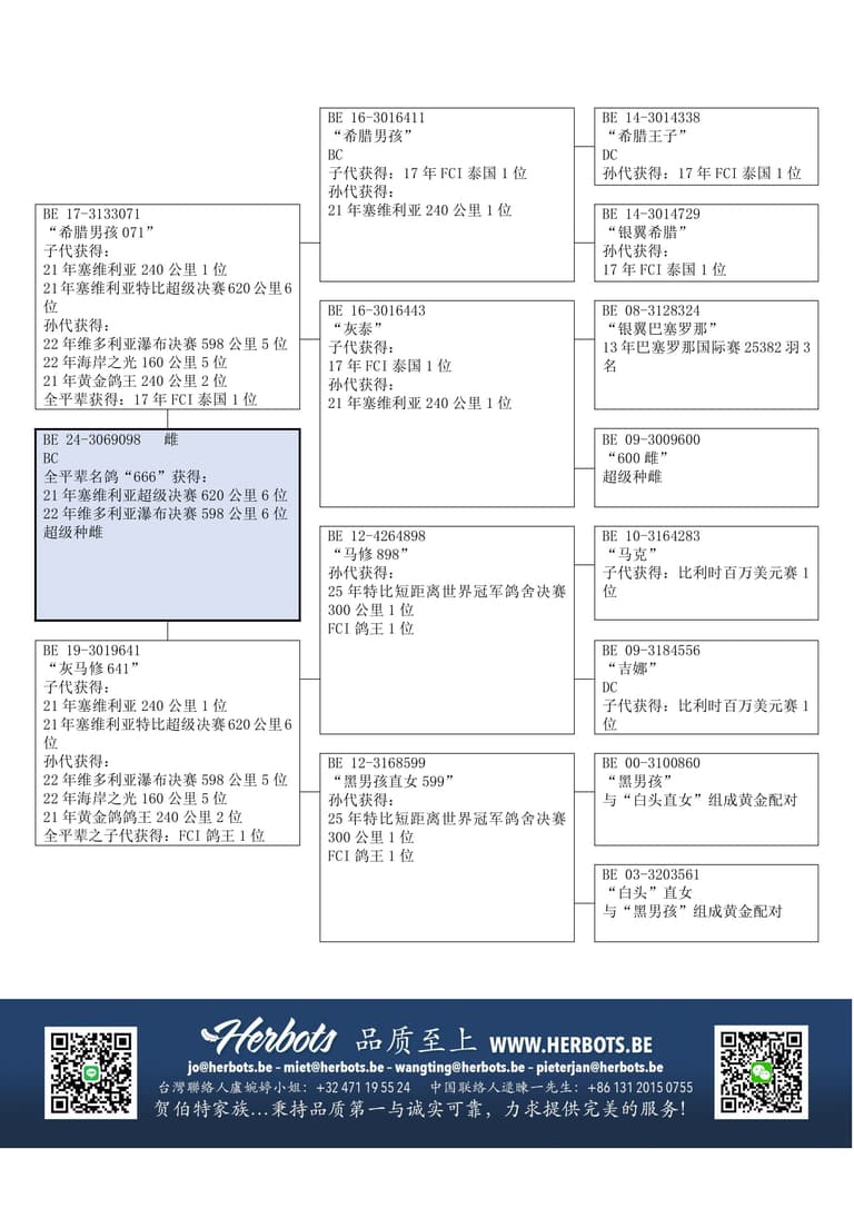 “666之姐妹” - BE-24-3069098