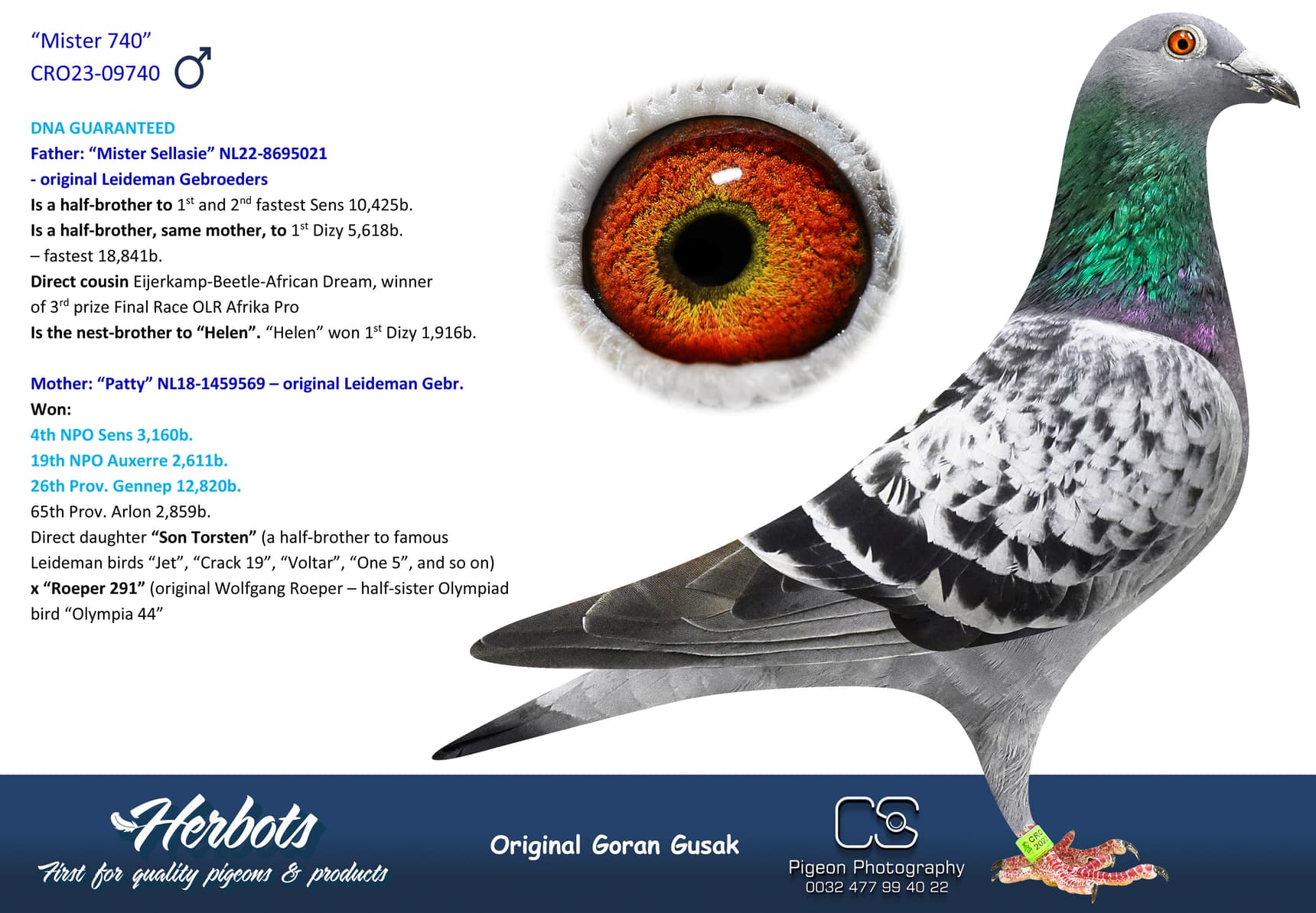 “Mister 740” - CRO-23-09740