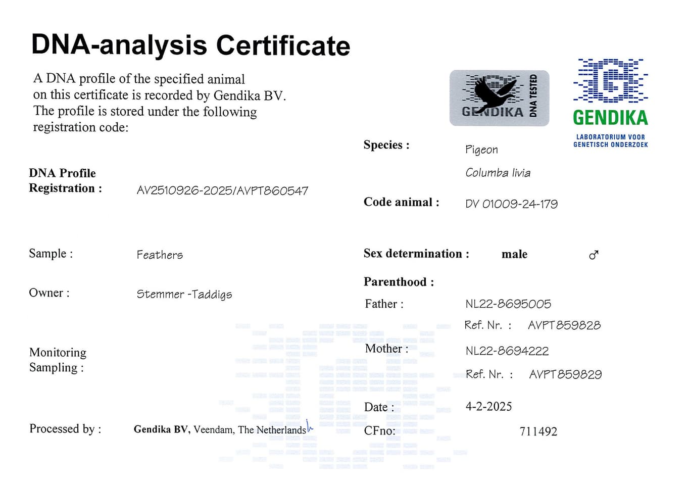 ”179-Leideman Power” - DV-01009-24-179