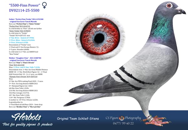 Pigeon Bids 100% Van Gaver Tom & Marnik