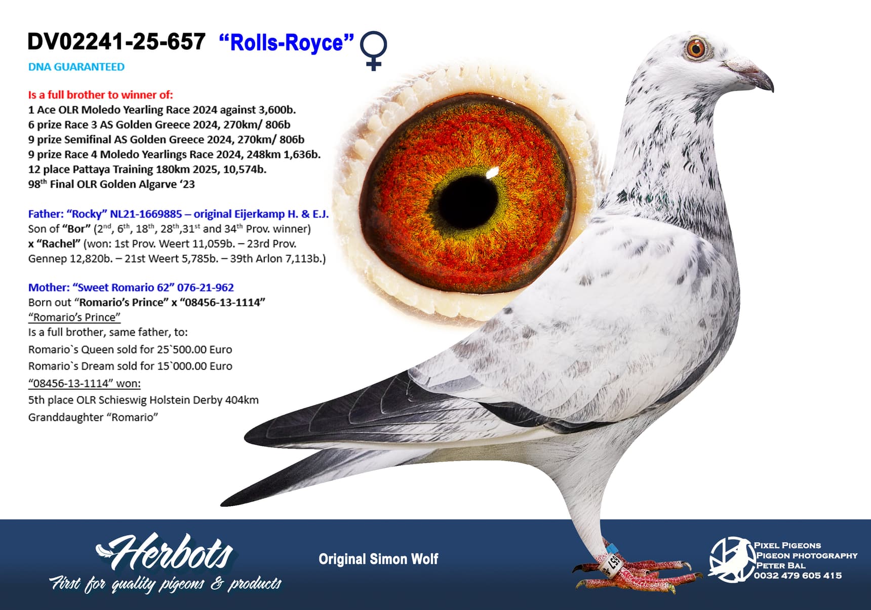 “Rolls-Royce” - DV-02241-25-657