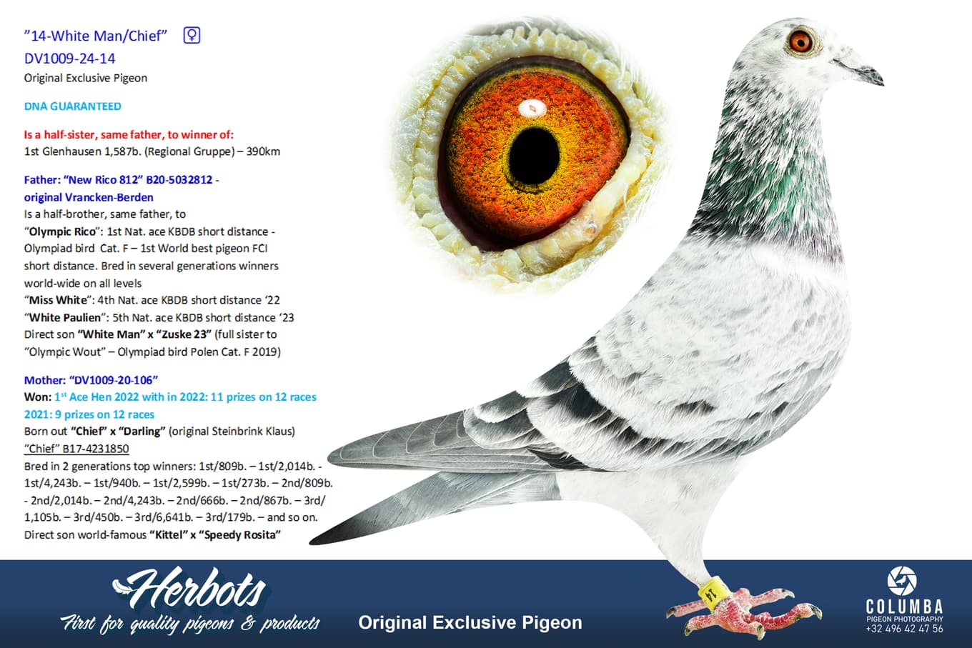 ”145-White Man Power” - DV-01009-22-145