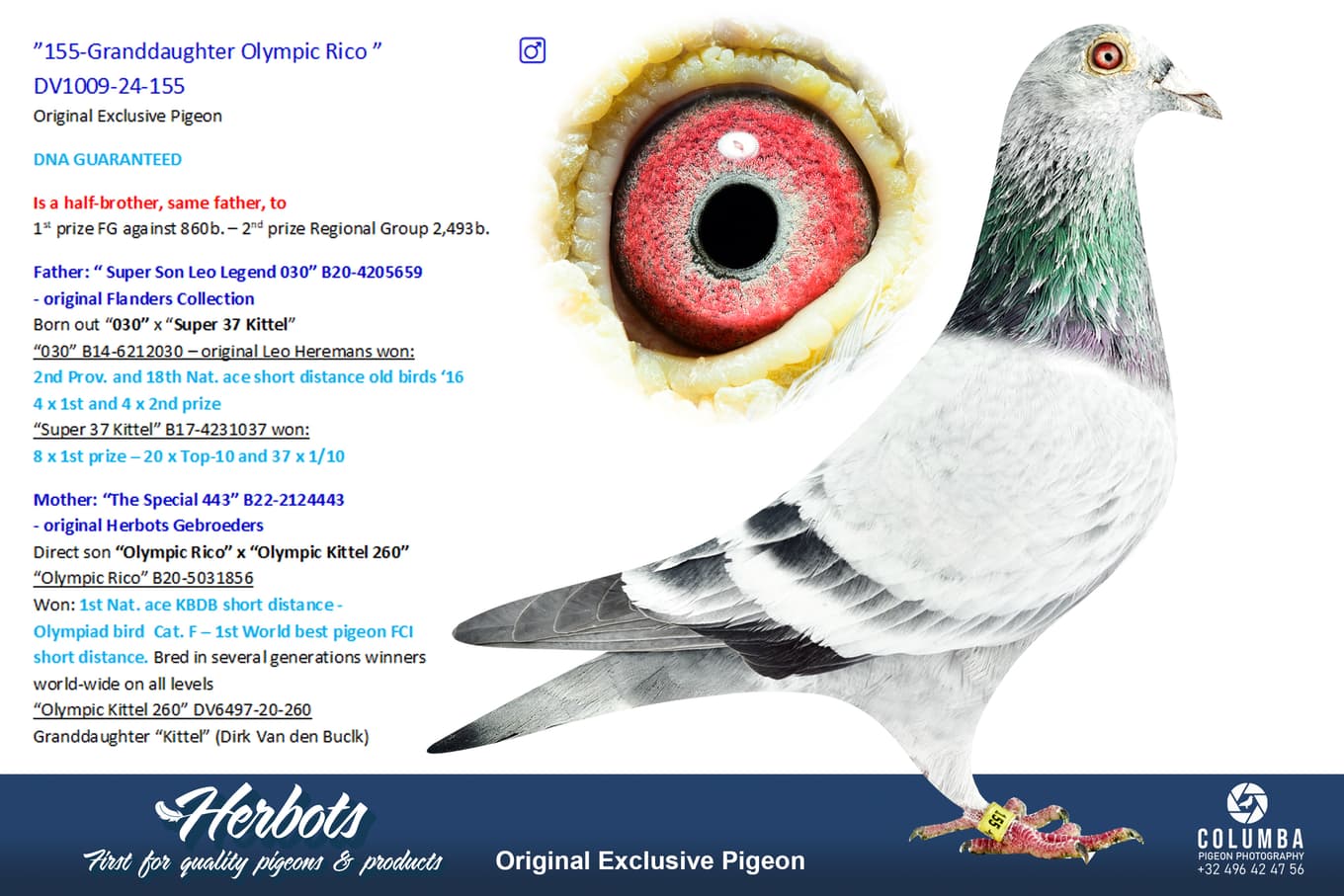 ”Olympic Rico meets White Man” - DV-01009-23-159