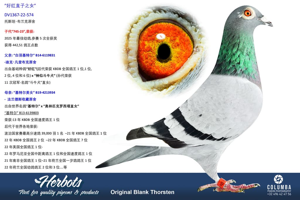 ”610号” - DV-01367-22-610