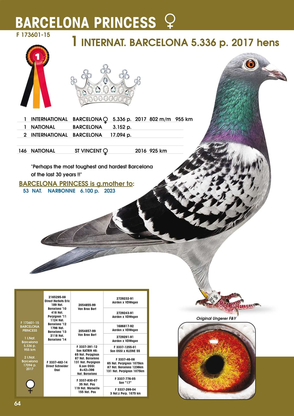 “DEVIL JAN 466” - BE-25-2091466