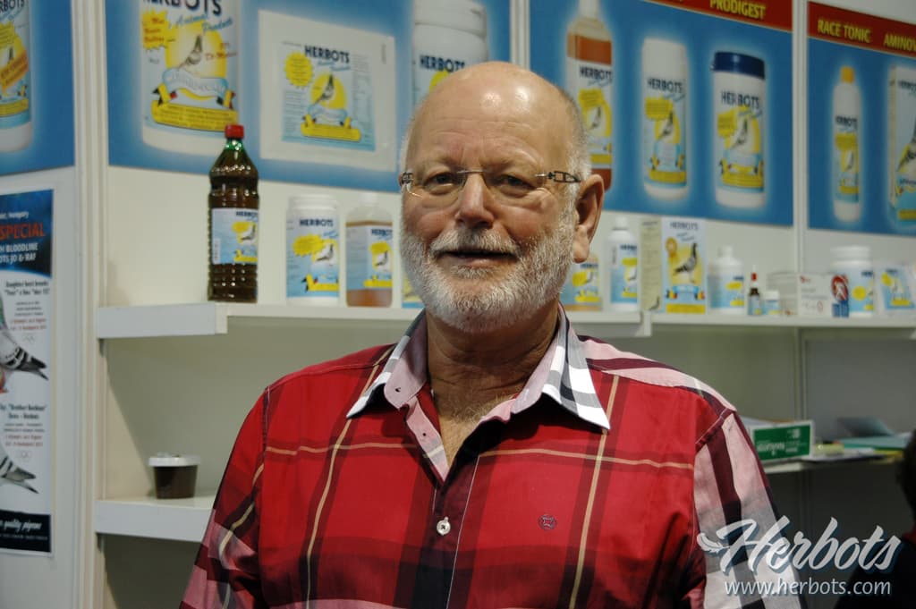 100% KO VAN DOMMELEN - BE-18-1013186