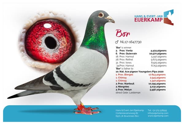 “Rolls-Royce” - DV-02241-25-657