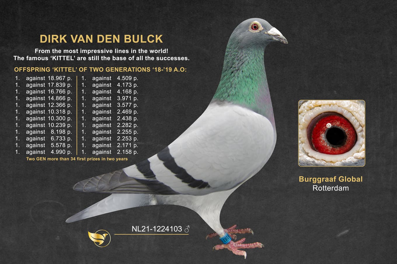 DIRK VAN DEN BULCK - NL-21-1224103