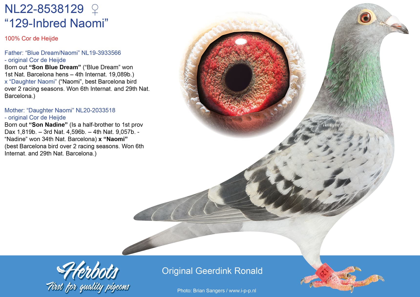 “Inbred Marianne” - NL-22-8538127