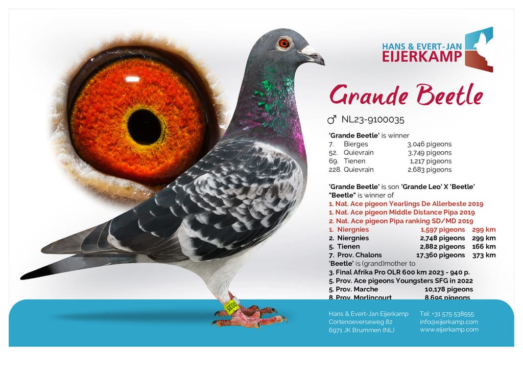 Pigeon Bids Eijerkamp Hans & Evert-Jan december 2023