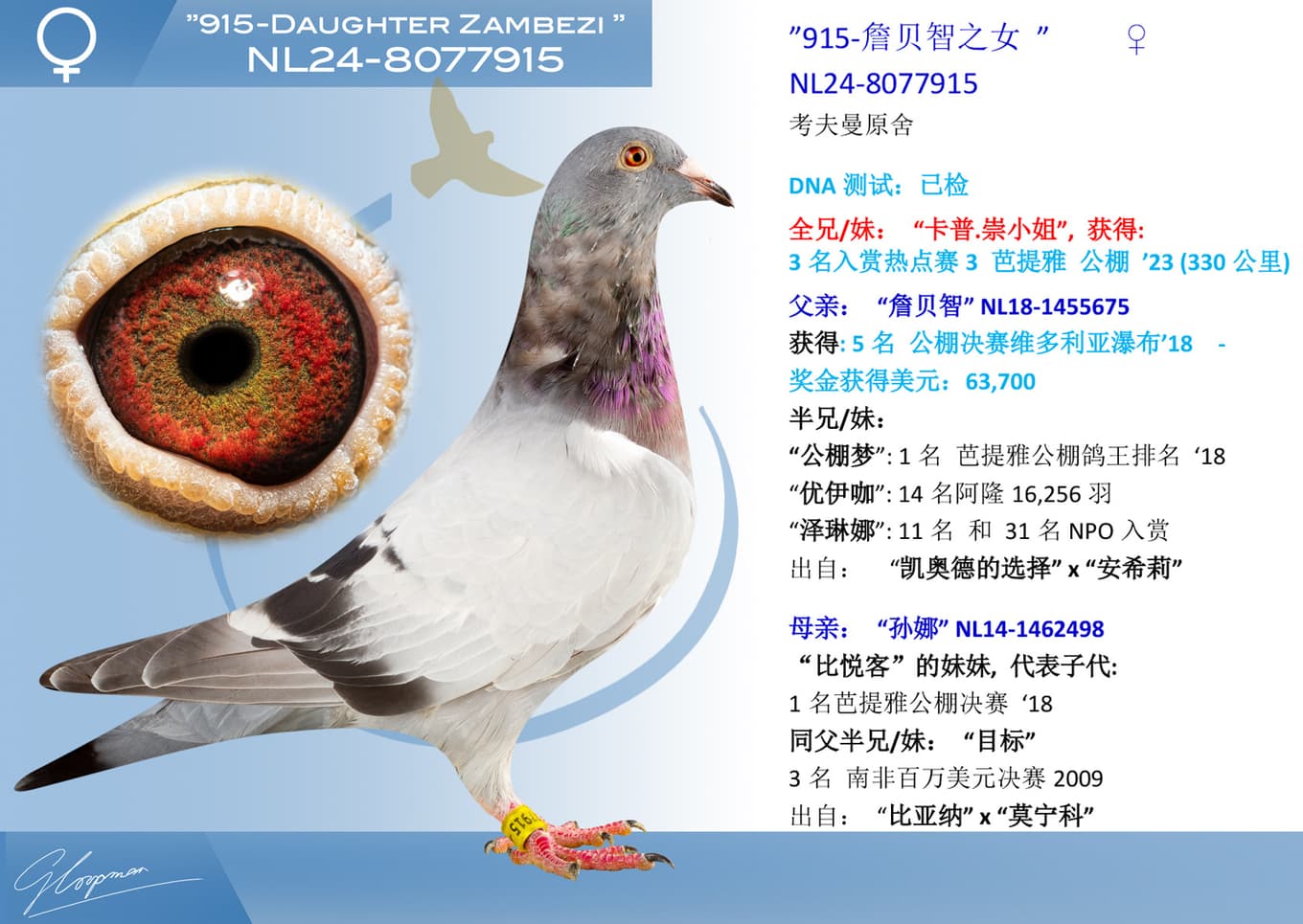 ”915-詹贝智之女” - NL-24-8077915