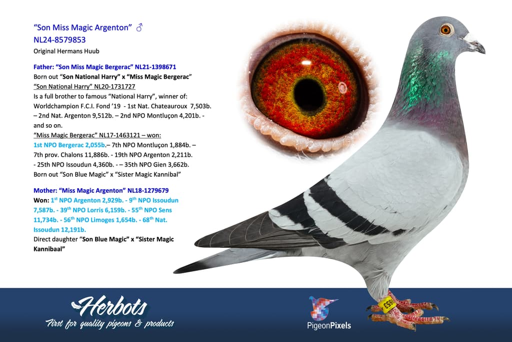 “Daughter Magic Kratos” - NL-24-8579826