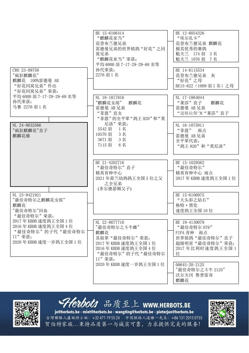 “疯狂花” - NL-24-8632566