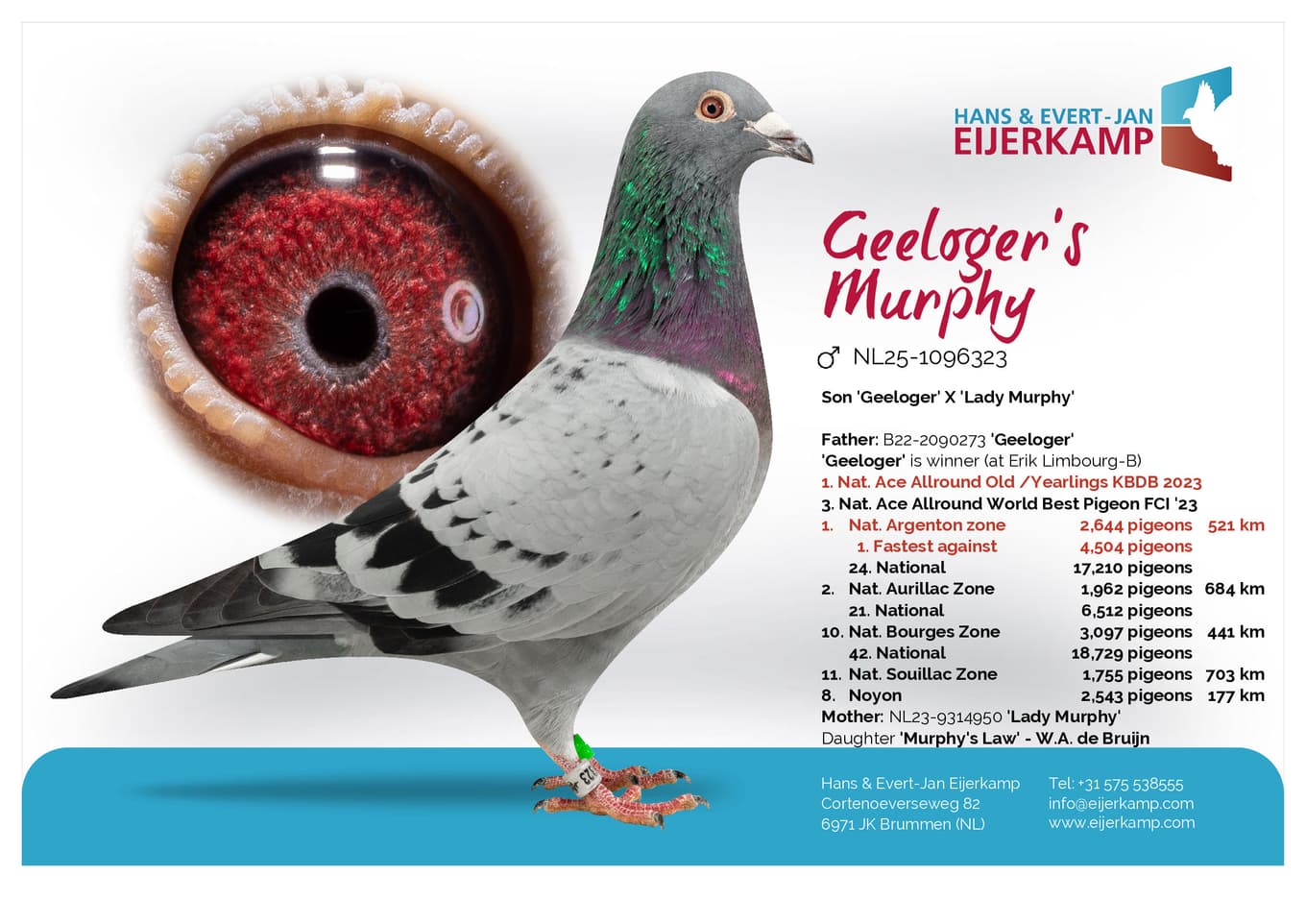 Pigeon Bids Eijerkamp Hans & Evert-Jan - November 2025