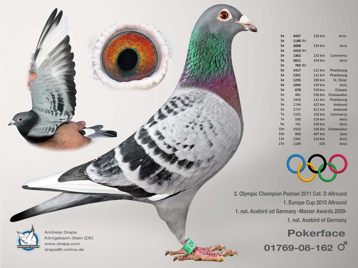 Andreas Drapa: breeder of ace and Olympic pigeons with worldwide success
