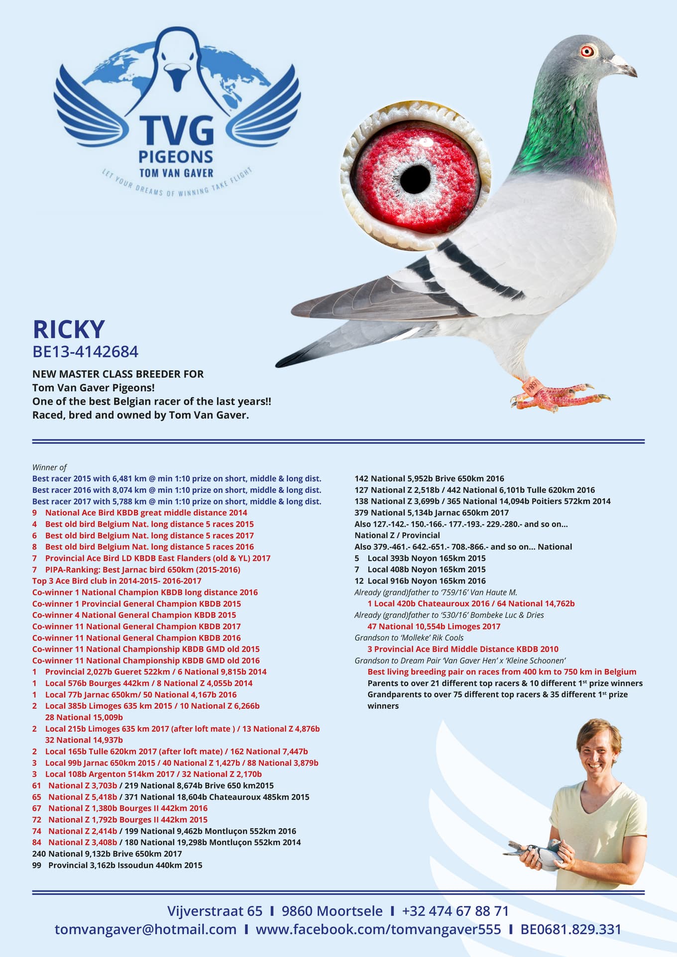 Bombeke Luc: A breeding loft with world class genes