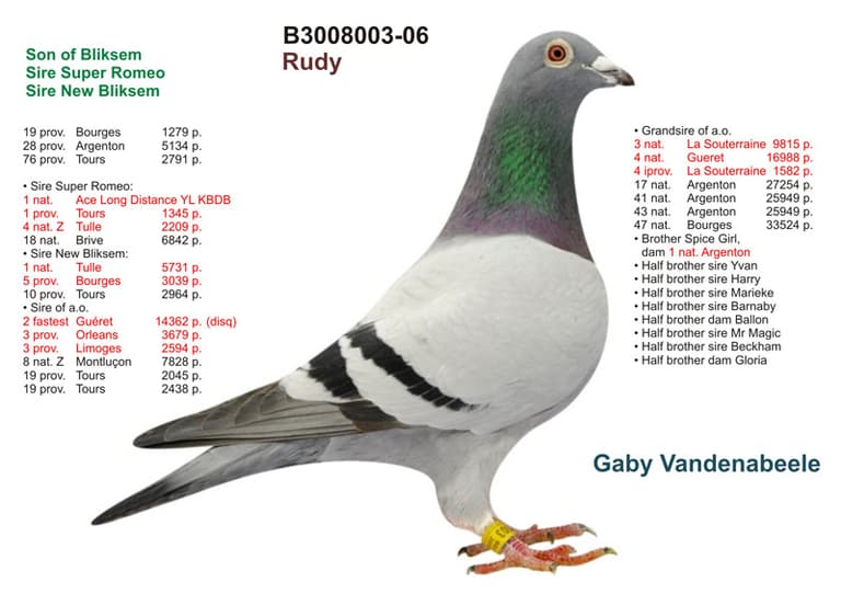 “REMCO MISS KBDB 734” - BE-25-2113734