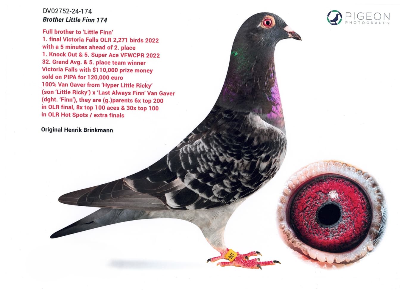 "OLR Little 761" - NL-25-1492761