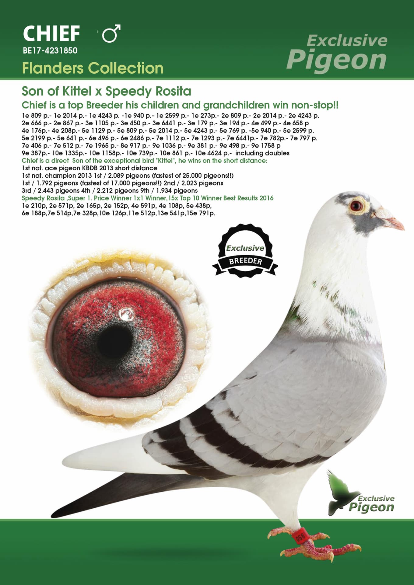 ”14-White Man/Chief” - DV-01009-24-14