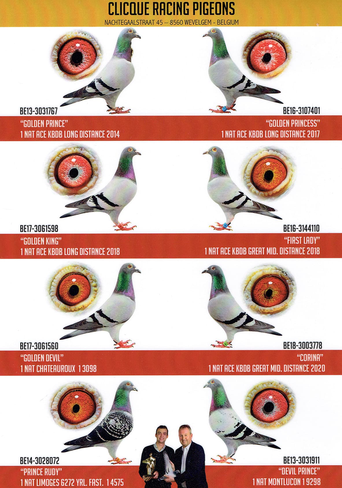 Bombeke Luc: A breeding loft with world class genes