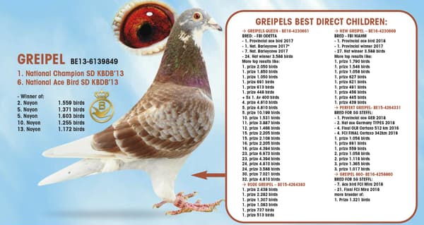 Dirk Van Den Bulck - Greipel - BE-22-2090836