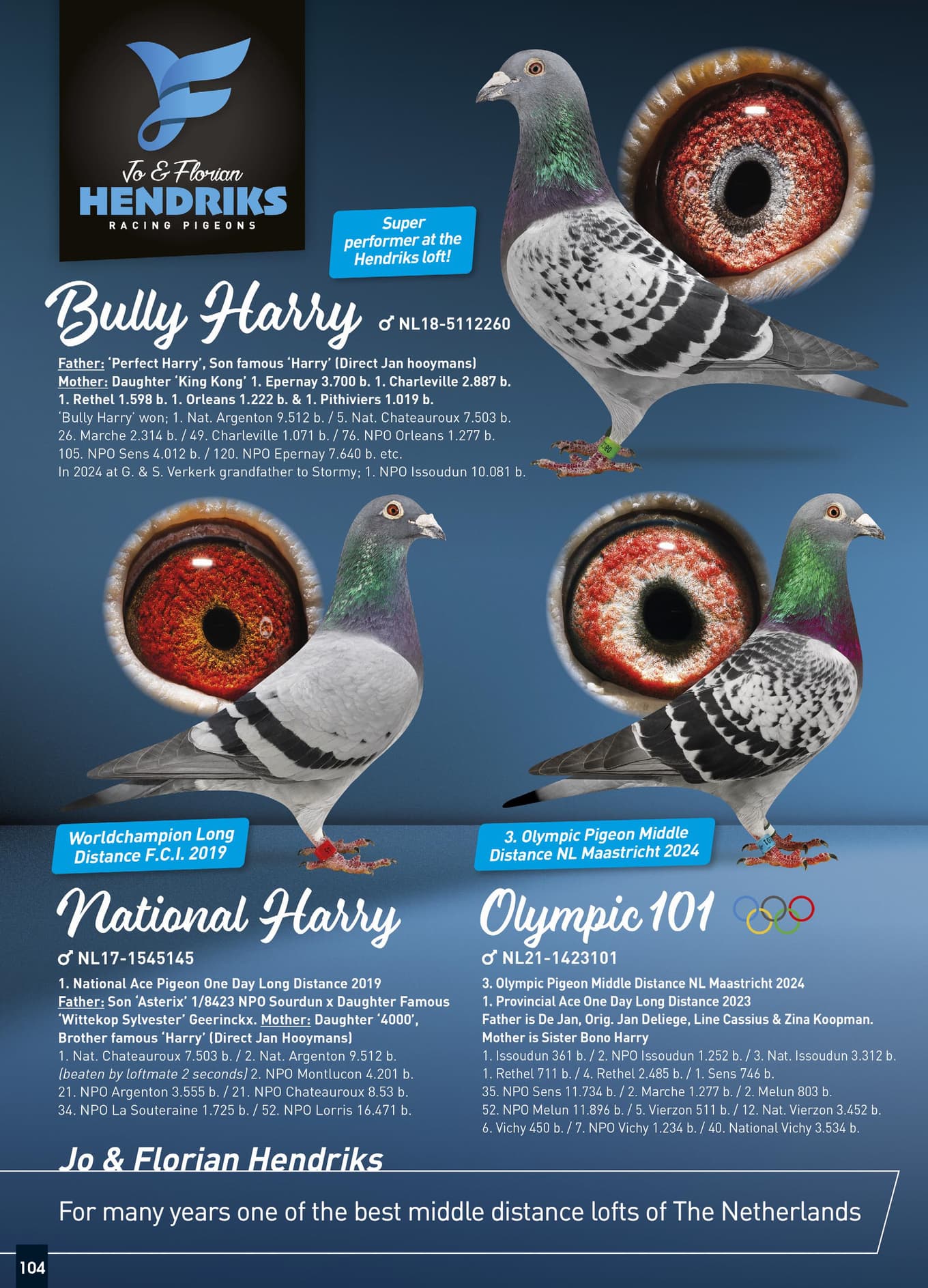 ”Half-brother National Harry” - NL-25-1474585