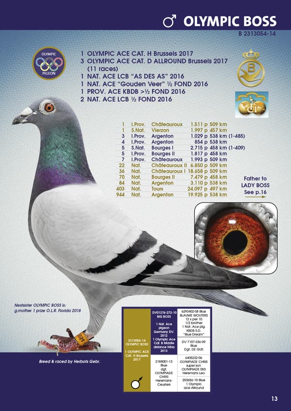 Olympic Boss - BE-14-2313054
