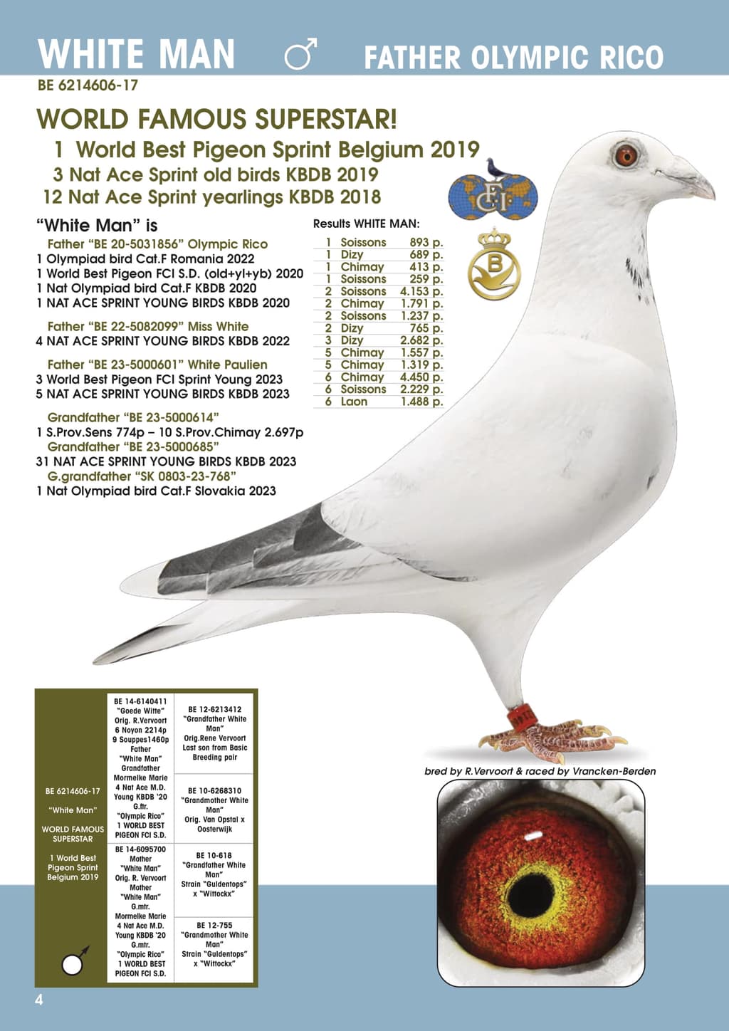 “218-Grandson Olympic Rico” - DV-01009-24-218