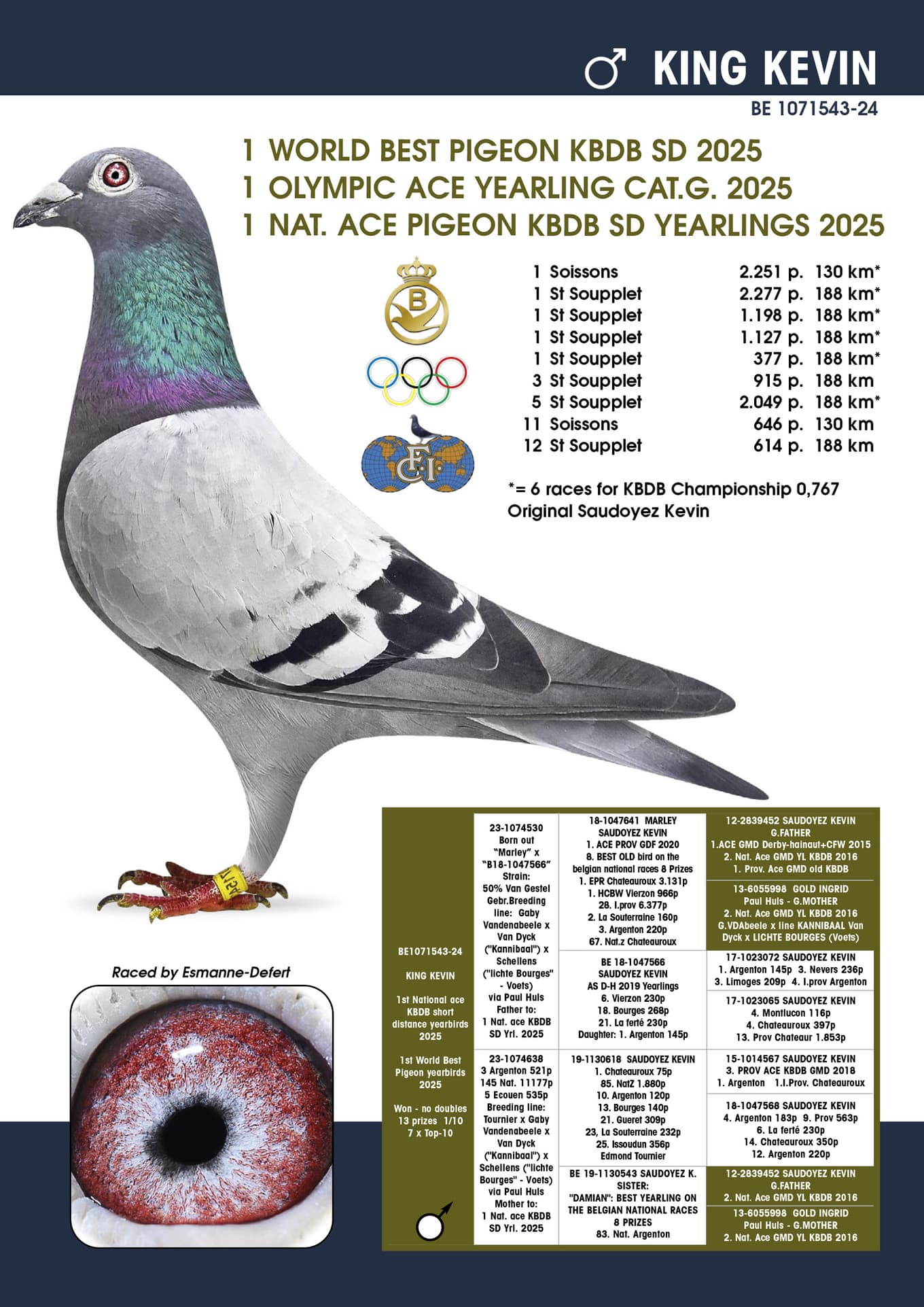 Pigeon Bids Esmanne E.-Defert T. - Part 1