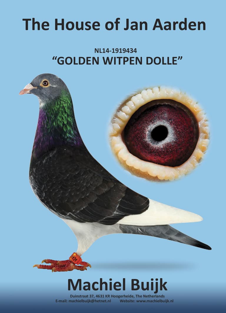 “银多利” - NL-24-9636244