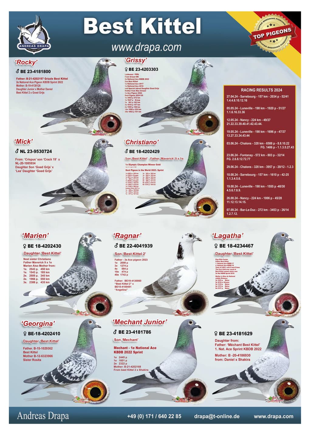 ”Alexa” - DV-01769-24-40